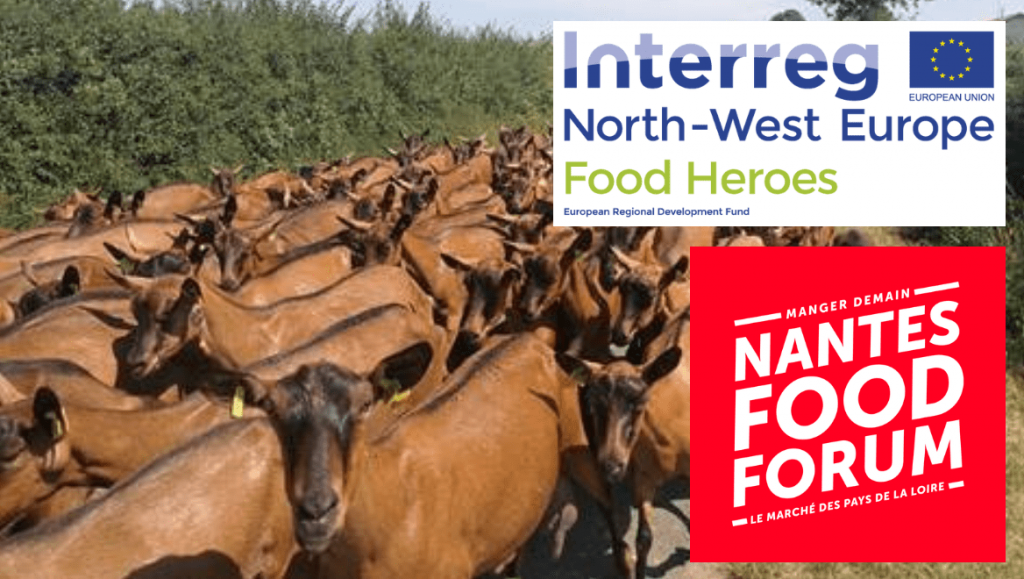 La viande de cabri à découvrir lors du Nantes Food Forum – AC3A